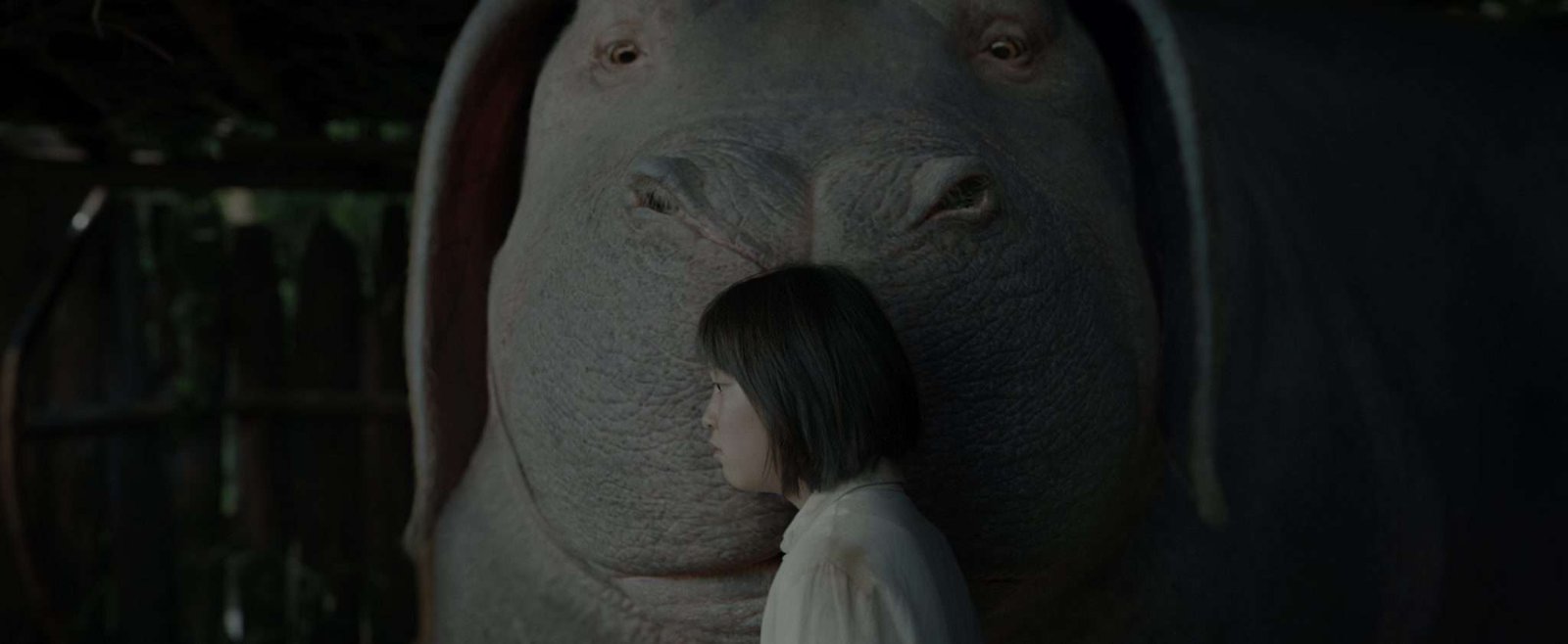 Movie review: Okja | easternkicks.com